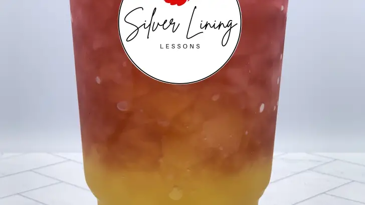 Dragonfruit Margarita – Silver Lining Lessons