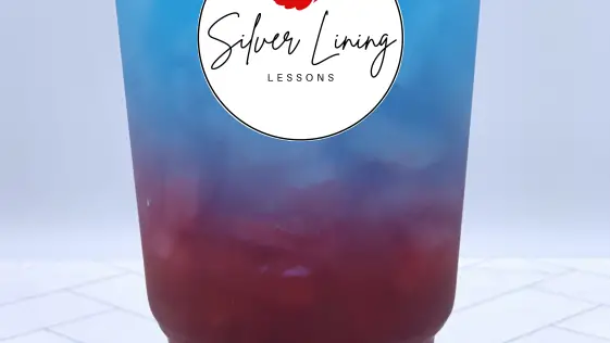 Boo Berry – Silver Lining Lessons