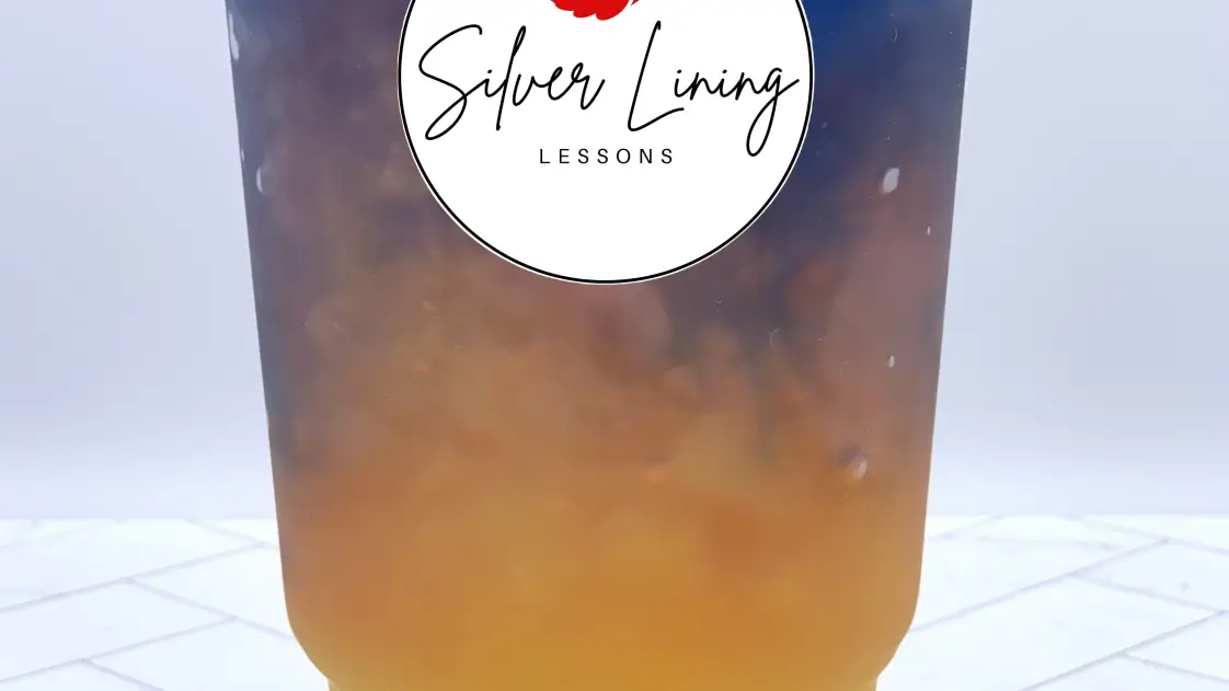 Struggle Bus – Silver Lining Lessons