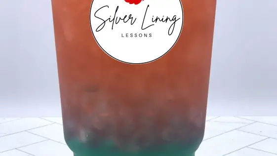 Snuggie – Silver Lining Lessons