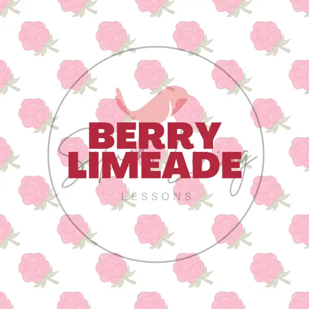 Berry Limeade Water – Silver Lining Lessons