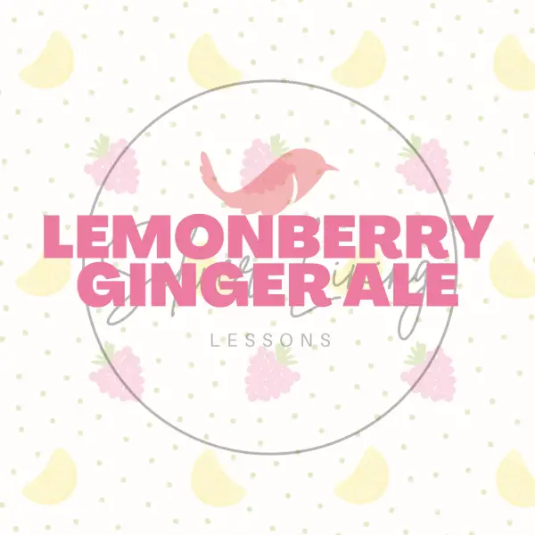 LemonBerry Ginger Ale Water – Silver Lining Lessons