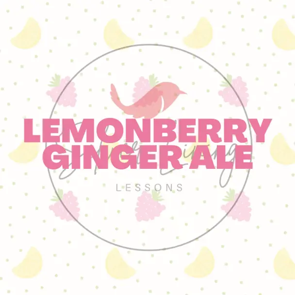 LemonBerry Ginger Ale Water – Silver Lining Lessons