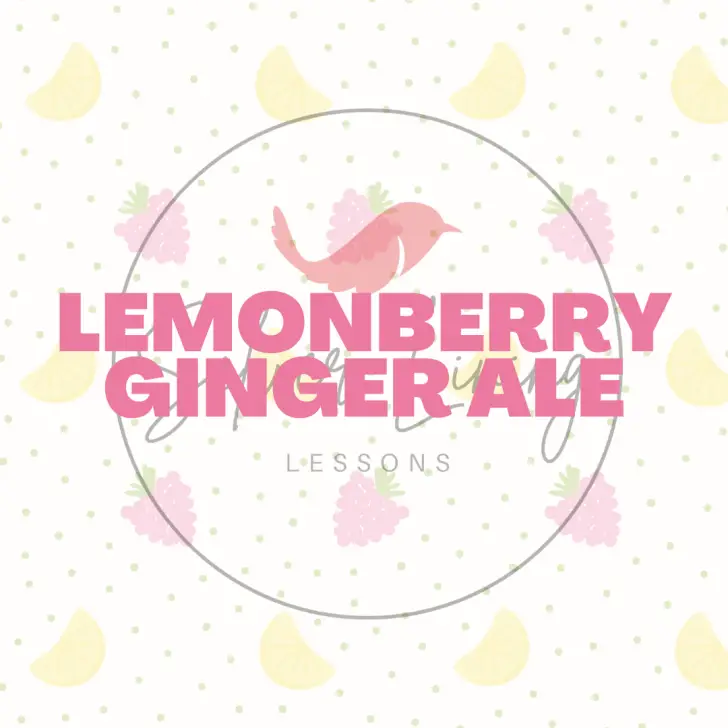 LemonBerry Ginger Ale Water – Silver Lining Lessons