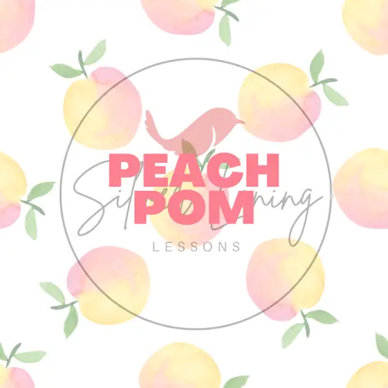 Peach Pom Water – Silver Lining Lessons