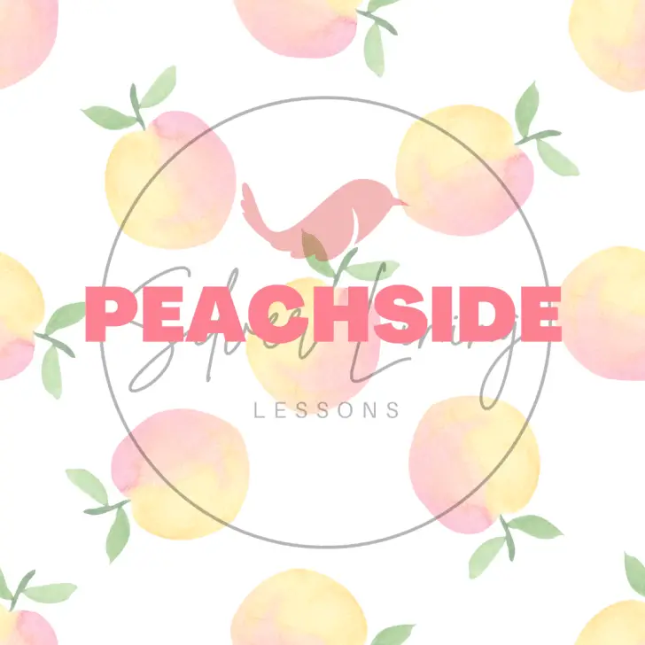 Peachside Water – Silver Lining Lessons