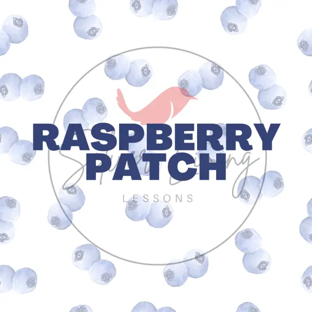 Raspberry Patch Water – Silver Lining Lessons