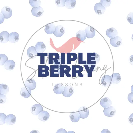 Triple Berry Water – Silver Lining Lessons