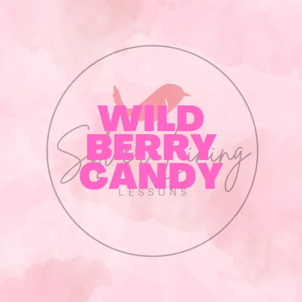 Wild Berry Candy Water – Silver Lining Lessons