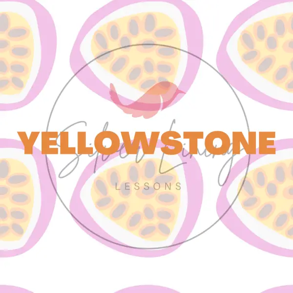 Yellowstone Water – Silver Lining Lessons