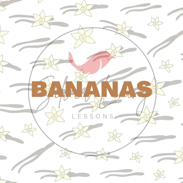 Dragon Fruit Daiquiri Water – Silver Lining Lessons