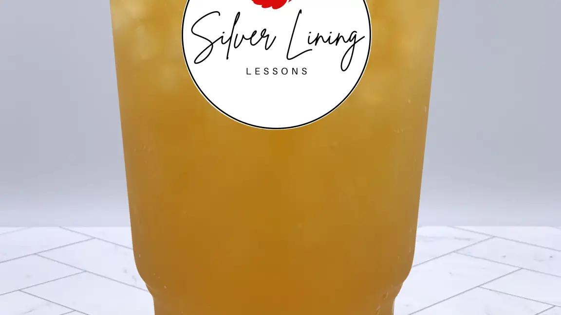 Watermelon Splash Water – Silver Lining Lessons