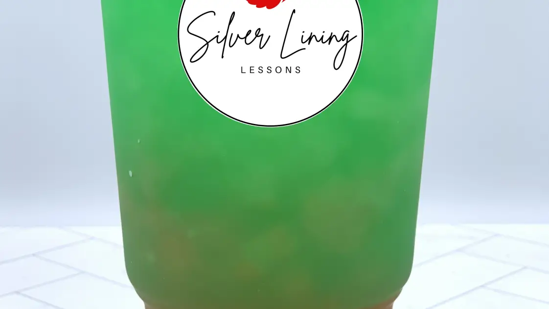 Honor Roll – Silver Lining Lessons