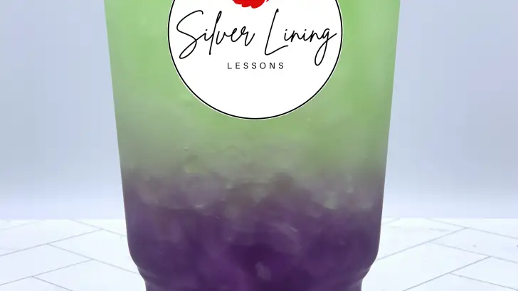 Binx – Silver Lining Lessons