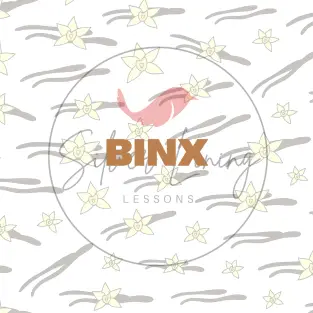 Dragon Fruit Daiquiri Water – Silver Lining Lessons