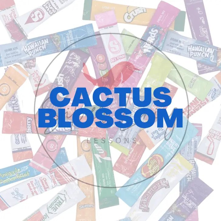 Cactus Blossom Water – Silver Lining Lessons