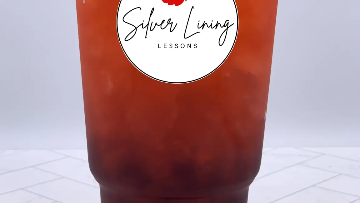 Snuggie – Silver Lining Lessons