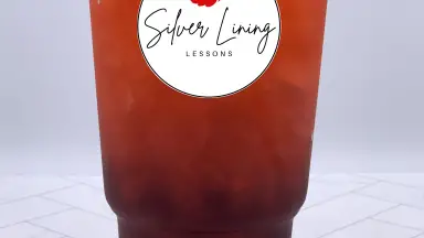 Snuggie – Silver Lining Lessons