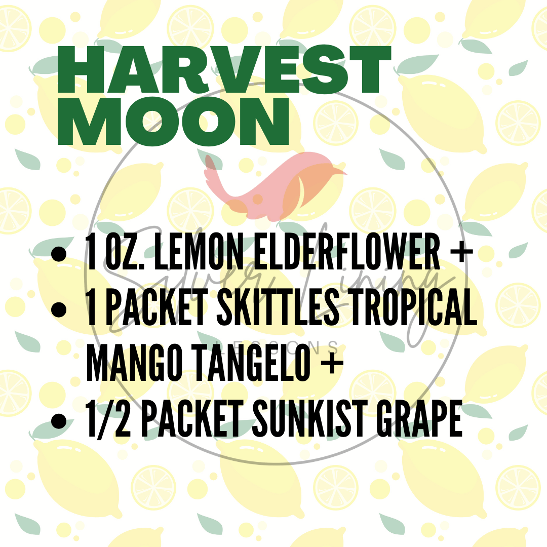 Harvest Moon – Silver Lining Lessons