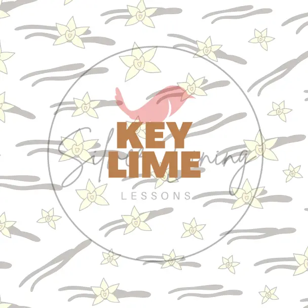 Key Lime Water – Silver Lining Lessons