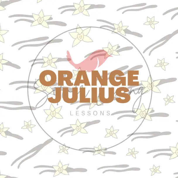 Orange Julius Water – Silver Lining Lessons