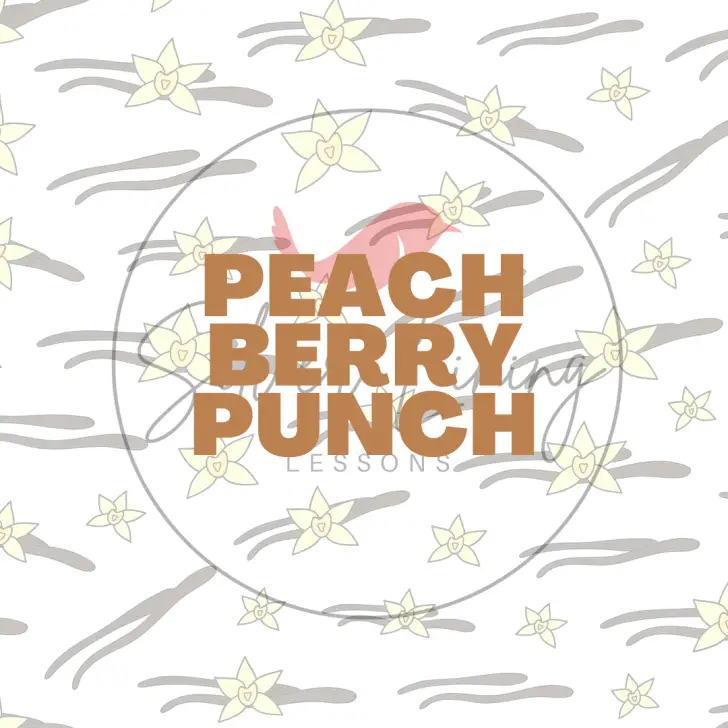 Peach Berry Punch Water – Silver Lining Lessons