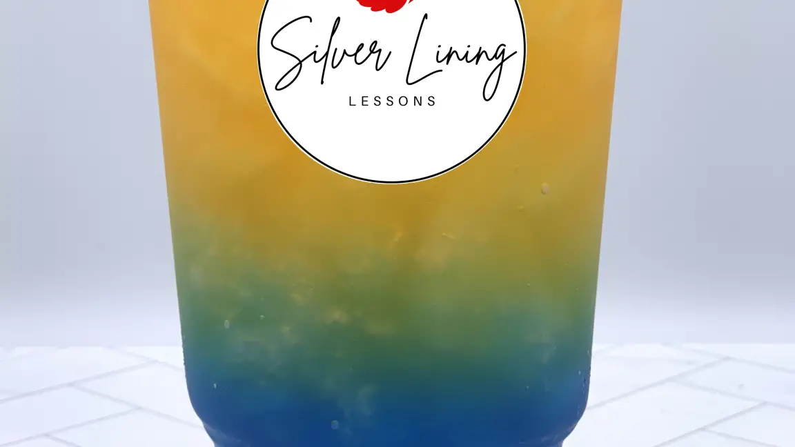 Field Trip – Silver Lining Lessons