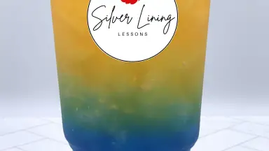 Screamsicle – Silver Lining Lessons