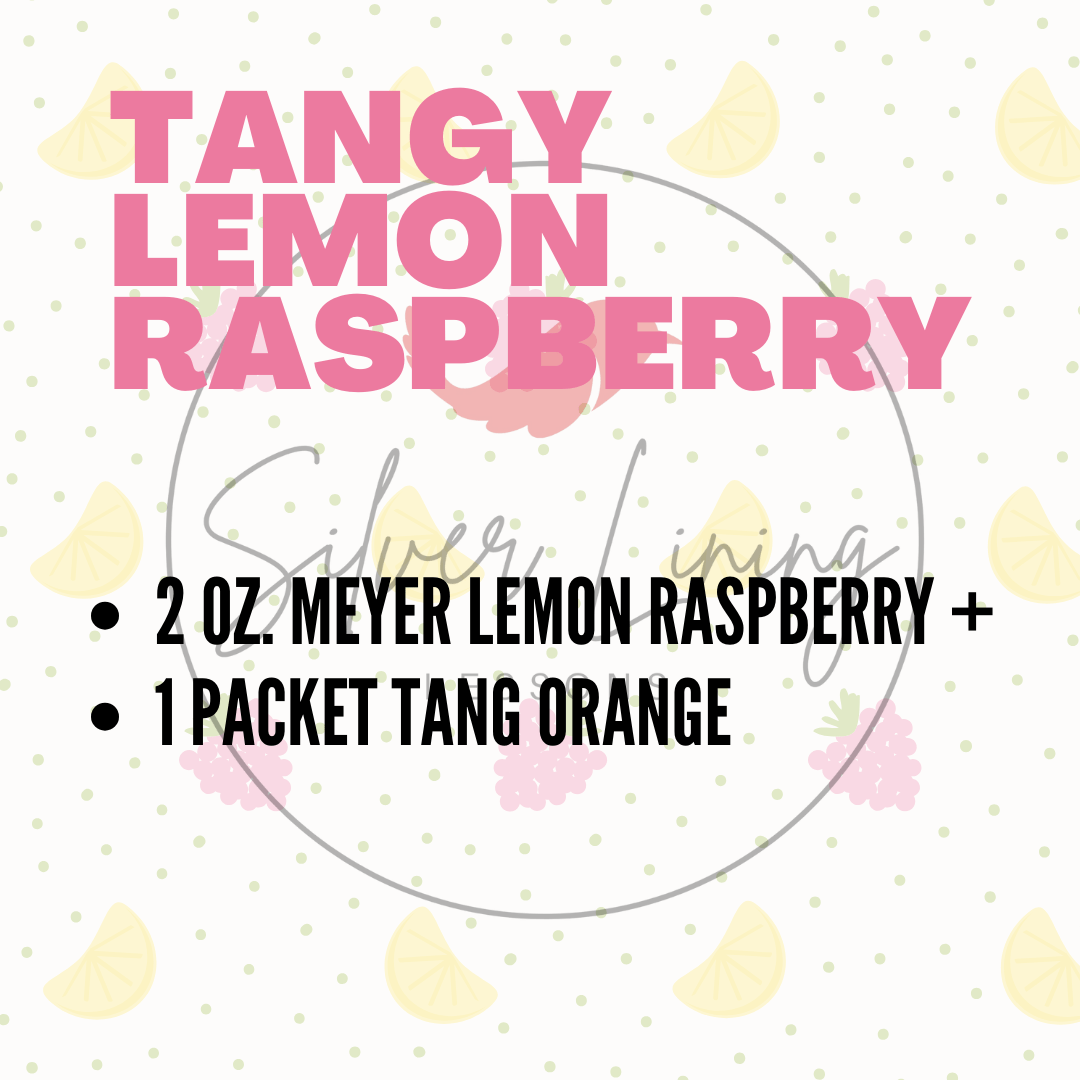 Tangy Lemon Raspberry Water – Silver Lining Lessons