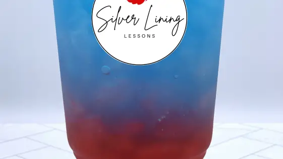 Field Trip – Silver Lining Lessons