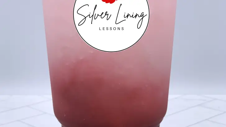 Screamsicle – Silver Lining Lessons