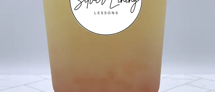 Screamsicle – Silver Lining Lessons
