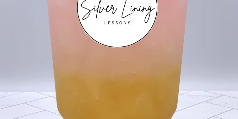 Louis Vuitton – Silver Lining Lessons