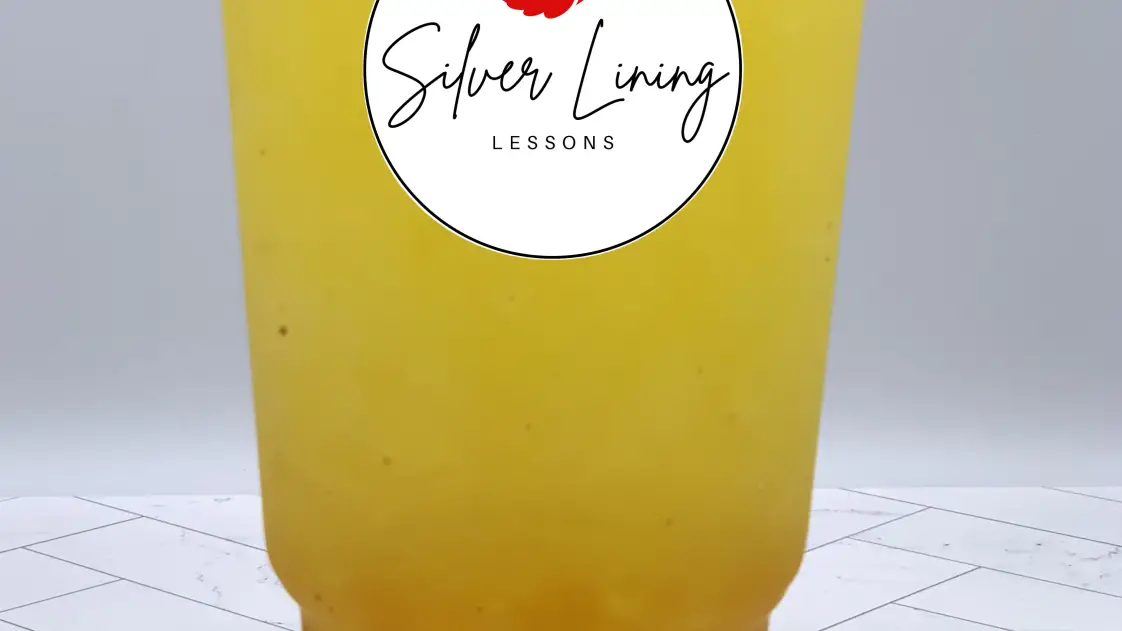 Wallflower – Silver Lining Lessons