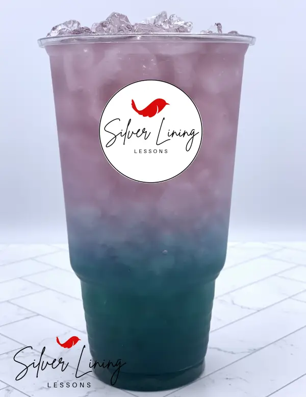 Moon Berry – Silver Lining Lessons