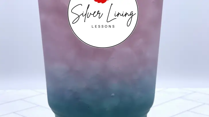 Christmas Berry – Silver Lining Lessons